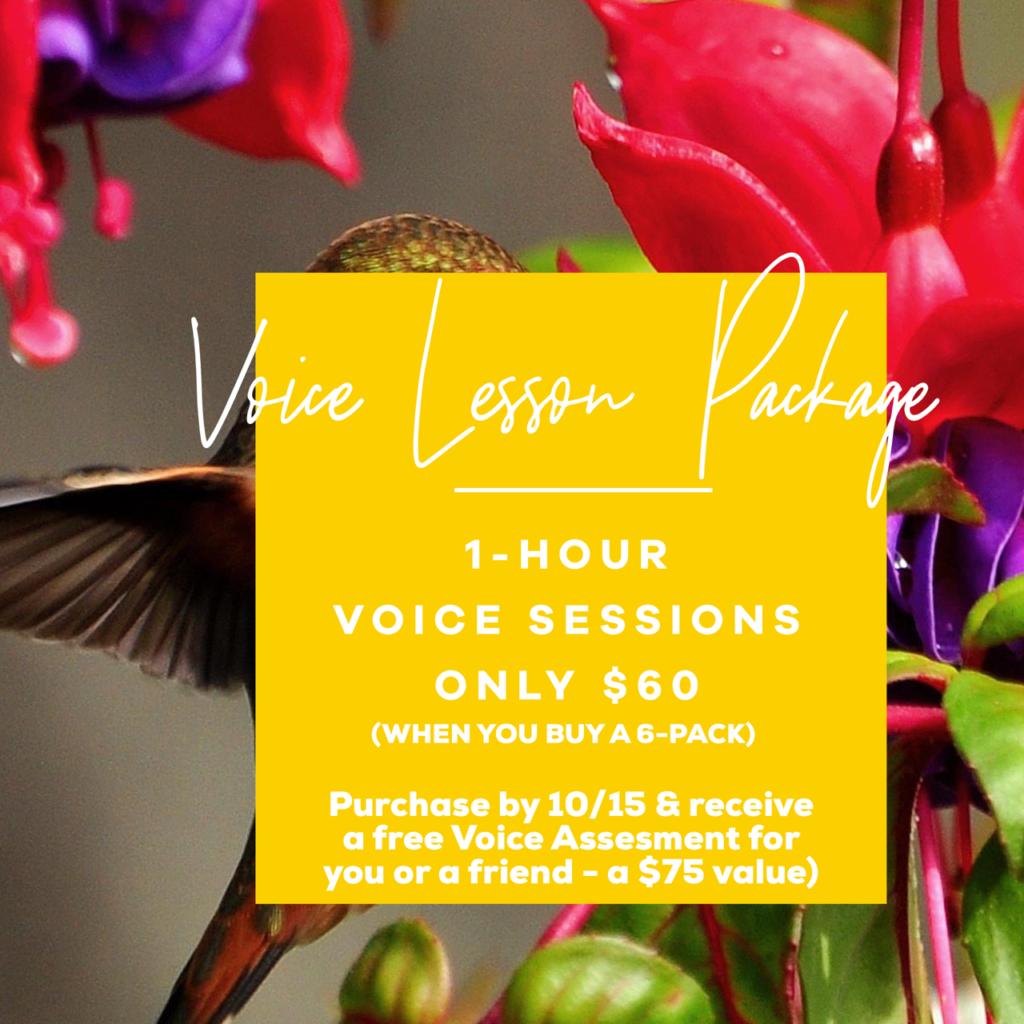 6, One-hour Voice Lessons Package – Vocal Voyaging